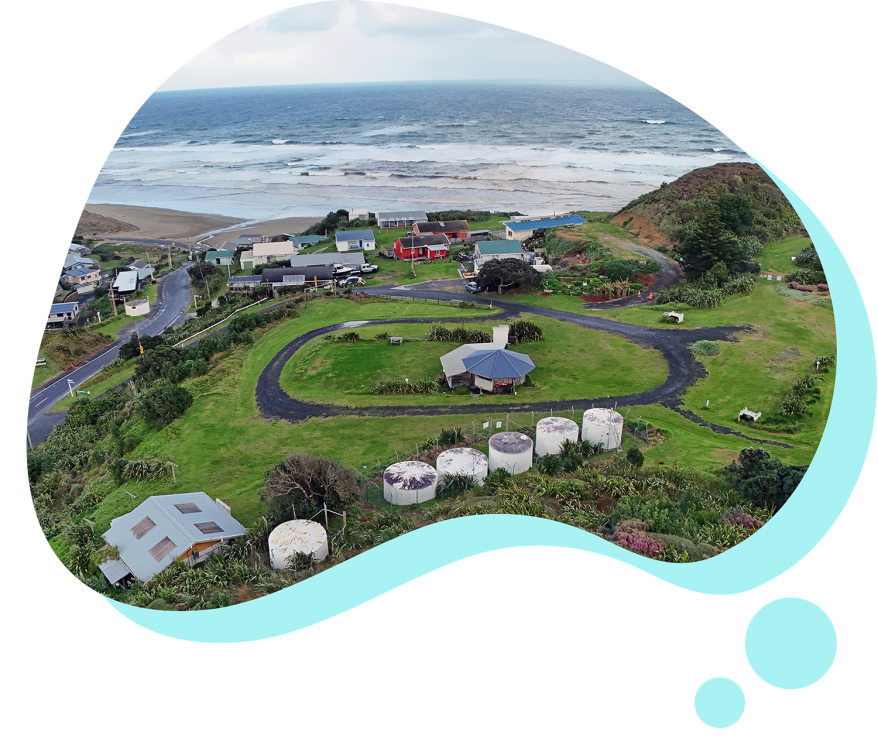 Pouto Camping - Glinks Gully & Kellys Bay Campgrounds, Pouto Peninsula ...