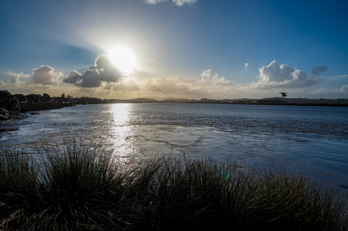Pouto Camping - Explore the Pouto Peninsula, Northland | Things to Do ...
