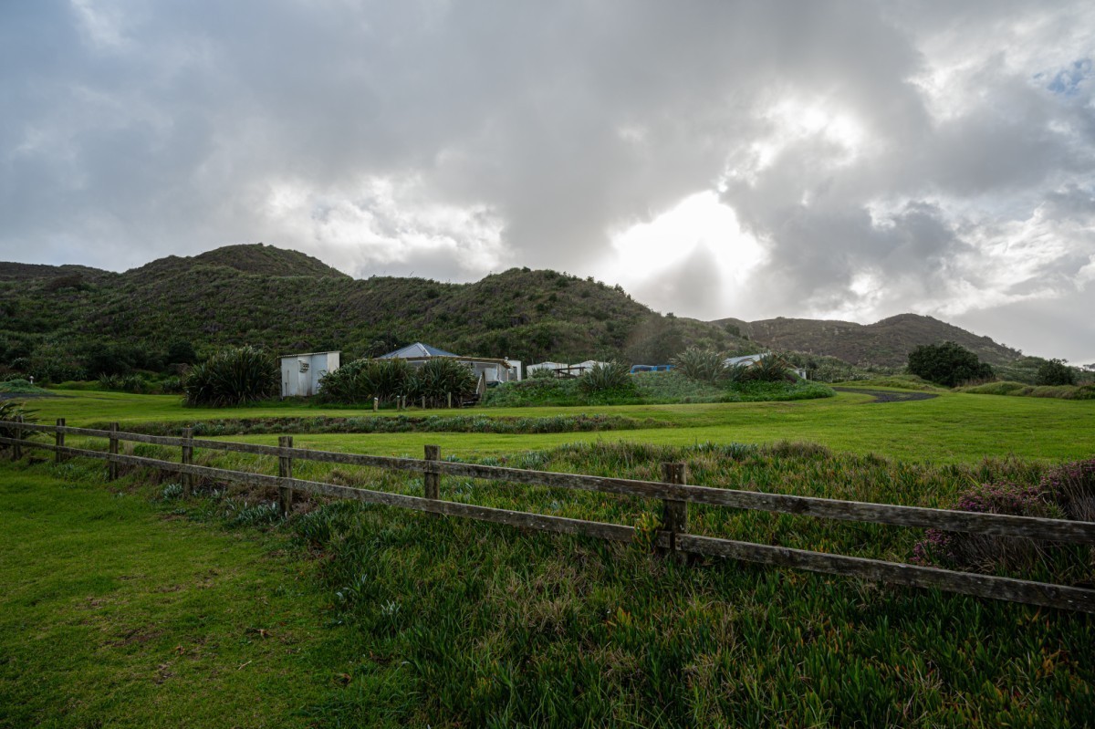 Pouto Camping - Glinks Gully Campground | Book Beachfront Camping on ...